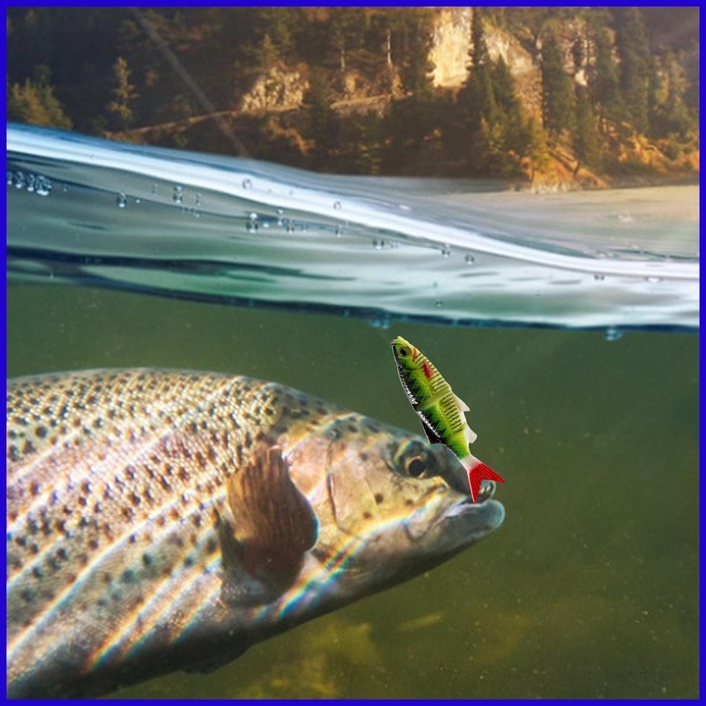 Multisection Fishing Lures 3D Printed Realistic Bass Lures Attractive ...