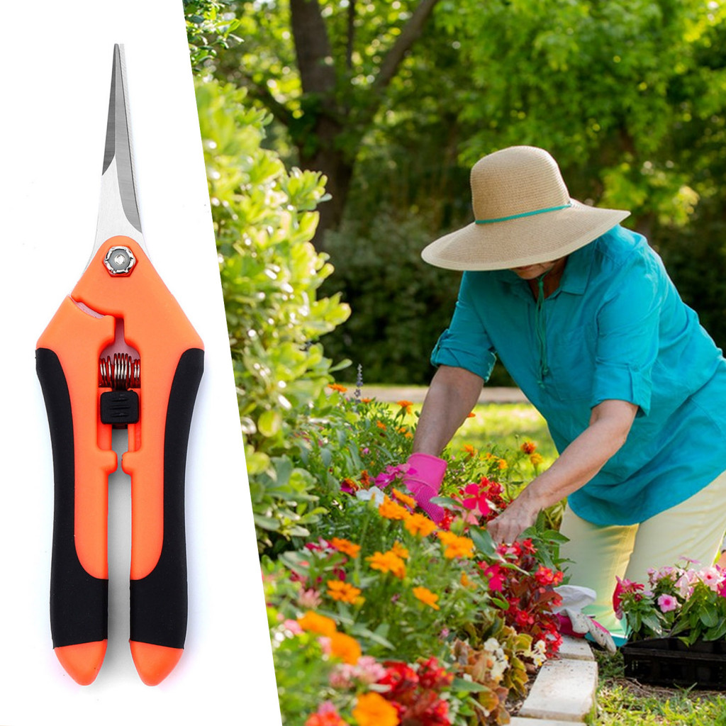 Sharp Blade Grape Scissors Grape Shears with Locking Mechanism Premium ...