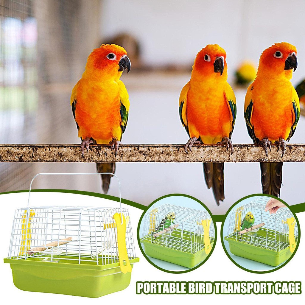 Bird Transport Cage Portable Transport Carrier Cage for Parrot Wire ...