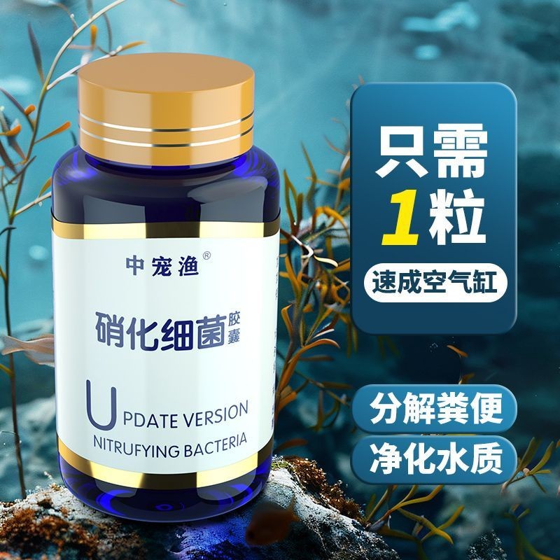 Fish Tank Nitrifying Bacteria Capsules Create Air Tank Remove Fishy ...