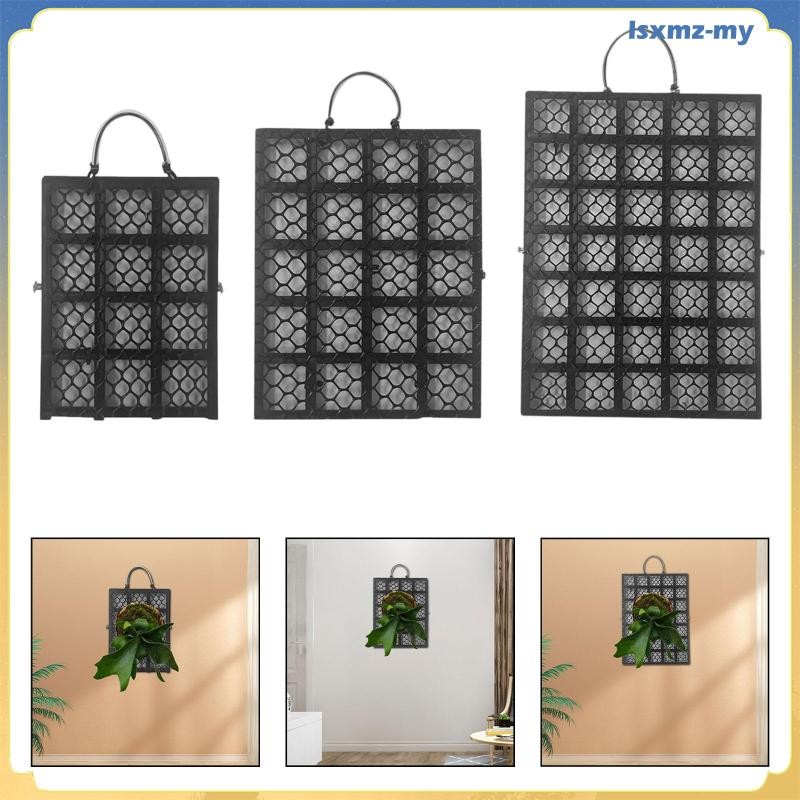 [LsxmzMY] Fern Planting Board Indoor Plant Display Panel Indoor Wall ...