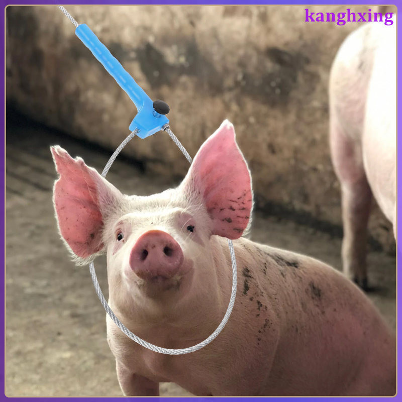 [Ready Stock] Grabber Animal Catcher Pole Control Tool Farm Animals ...