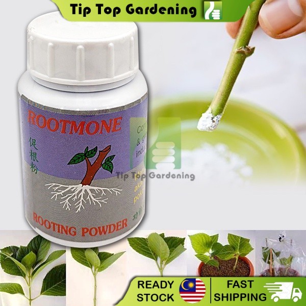 FERTILAND ROOTING POWDER ROOTMONE PLANTS PENGGALAK AKAR POKOK BUNGA 50g ...