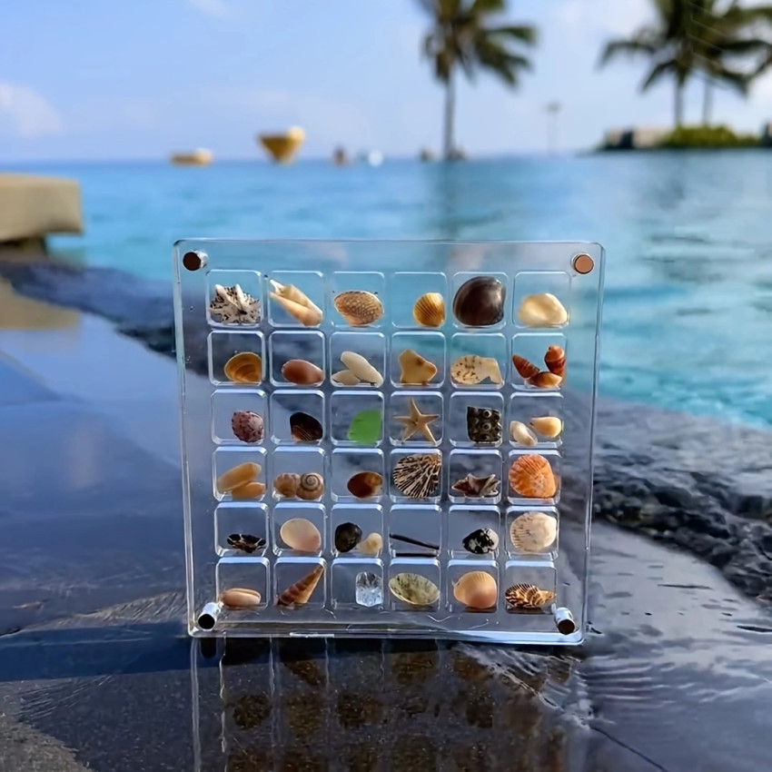 Acrylic Magnetic Seashell Display Box Seashell Storage Box Display Case ...