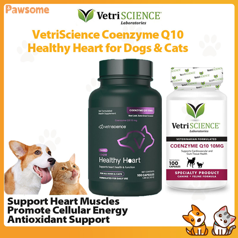VetriScience Coenzyme Q10 Coq10 for Cats & Dogs Heart Supplement ...