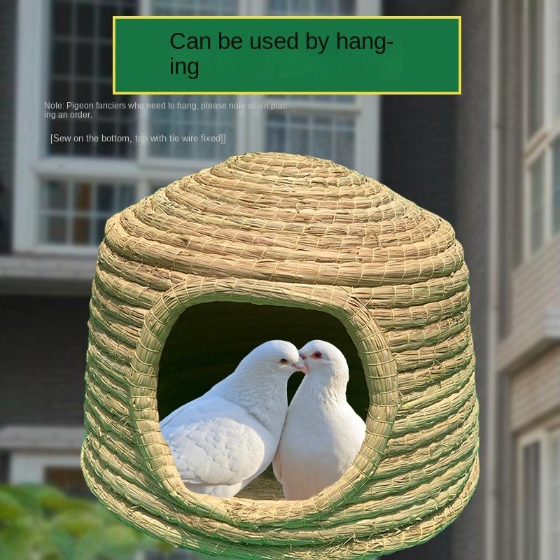 Sarang merpati, pembiakan pemanasan, sarang merpati, halang kesejukan ...