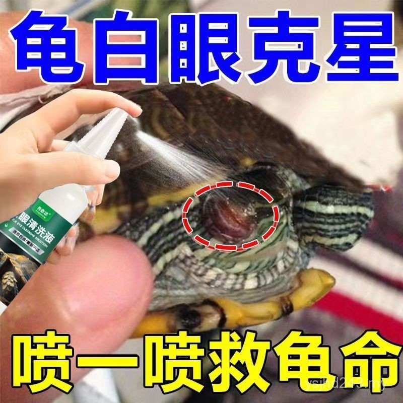 Penyakit mata putih kura-kura, pertolongan cemas kegunaan khas, penyu ...