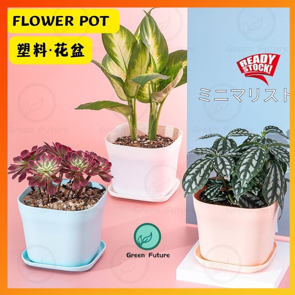 WHITE BLACK COLOR SUCCULENT CACTUS thick flower pot SQUARE PLASTIC POT ...