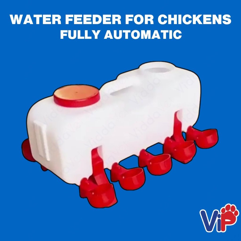 Durable Plastic Poultry Water Dispenser for Chicks, Ducklings, Pigeons ...