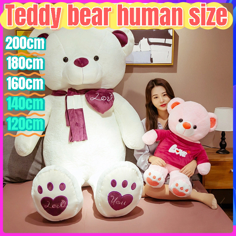 (Ready Stock) Cute Teddy bear human size teddy bear for girls teddy ...