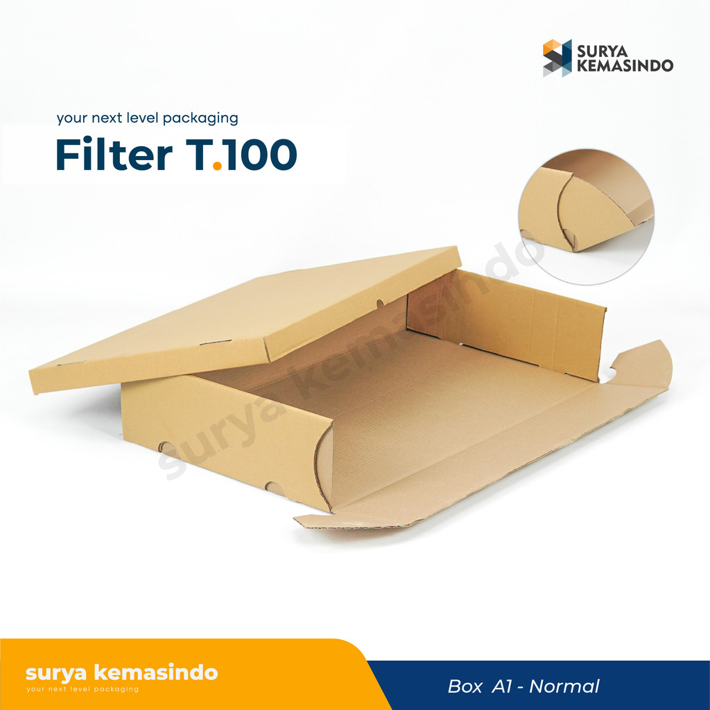 Box 66x38x12 cm. ( Filter T.100 ) Set/Top/Bot/Cardboard/Carton/Packing ...