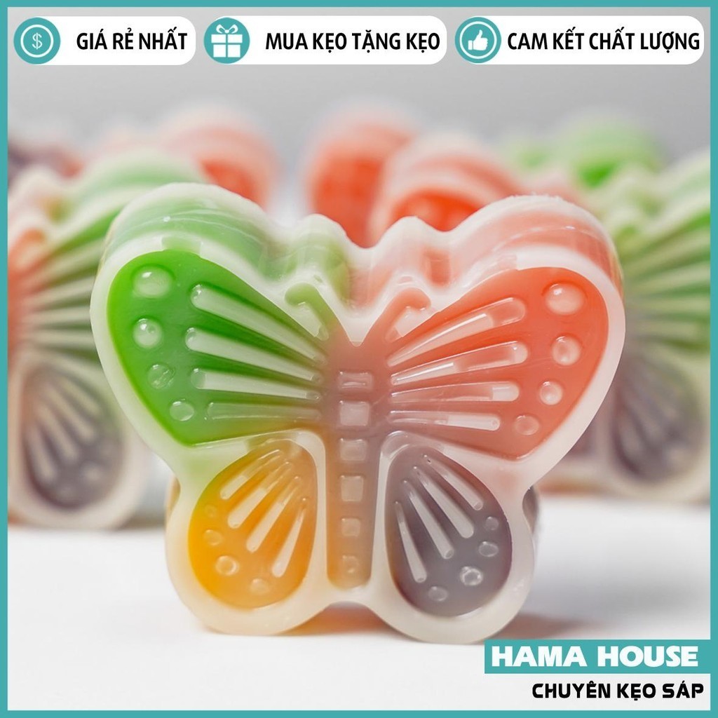 WAX CANDY - SMALL SIZE Phalaenopsis - JAM MIXED WITH FRUIT JELLY ...