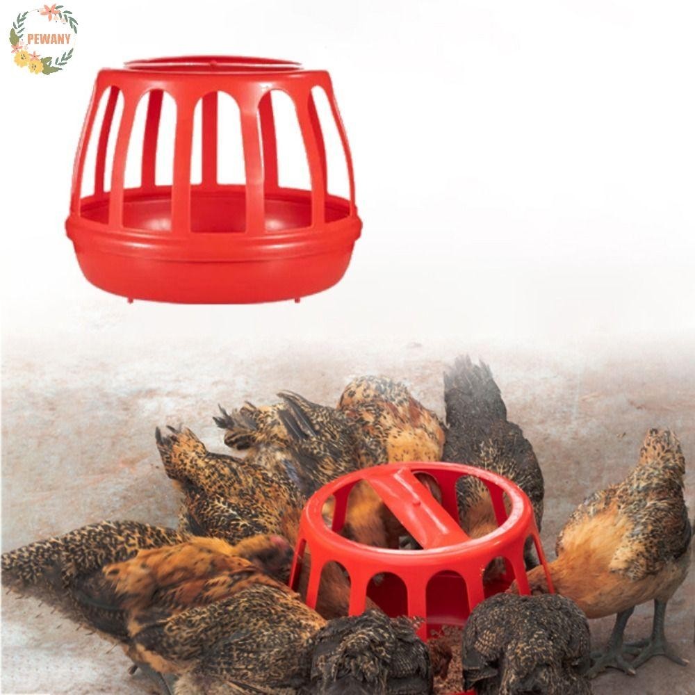 PEWANY Chicken Feeding Trough, Detachable Plastic Chick Feeding Bucket ...