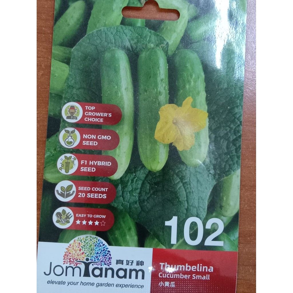 THUMBELINA CUCUMBER SMALL (TIMUN KECIL) | Shopee Malaysia