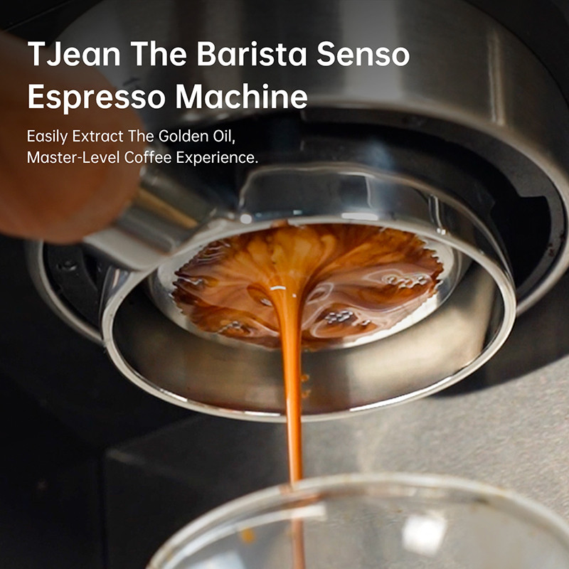 TJean Espresso Semi-automatic Coffee Machine ULKA Pump CoffeeMaster X1 (2-Year Warranty ...