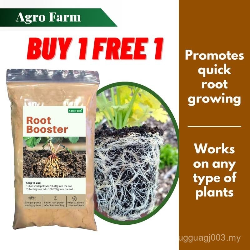 [Buy 1 FREE 1] Agro Farm Rooting Powder / Penggalak akar pokok ...
