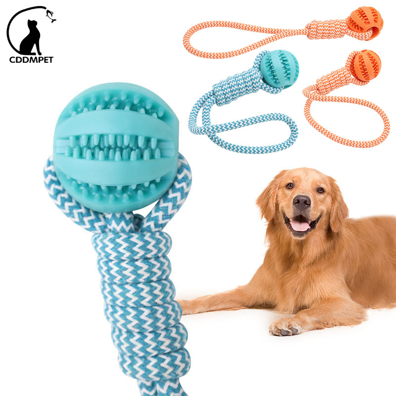 Pet Rubber Leaking Balls Toy Dog Treat Ball with Rope Puppy Chewing Bite Resistant Toys | Shopee ...