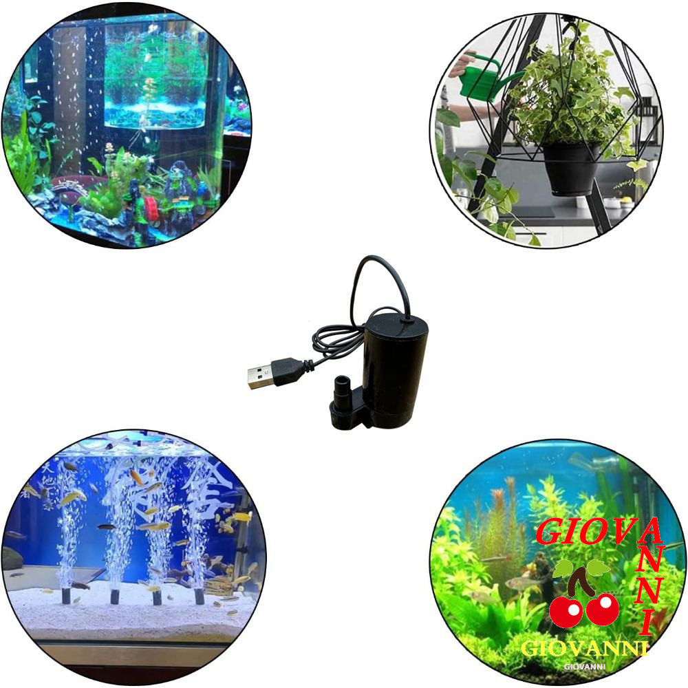 GIOVANNI Micro Motor Water Pump, Garden Hydroponics Mini Water Pump ...