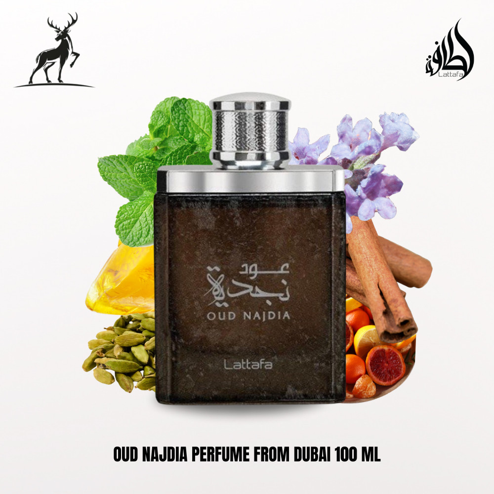 Original Lattafa Oud najdia perfume from dubai 100 ml EDP original 100% ...