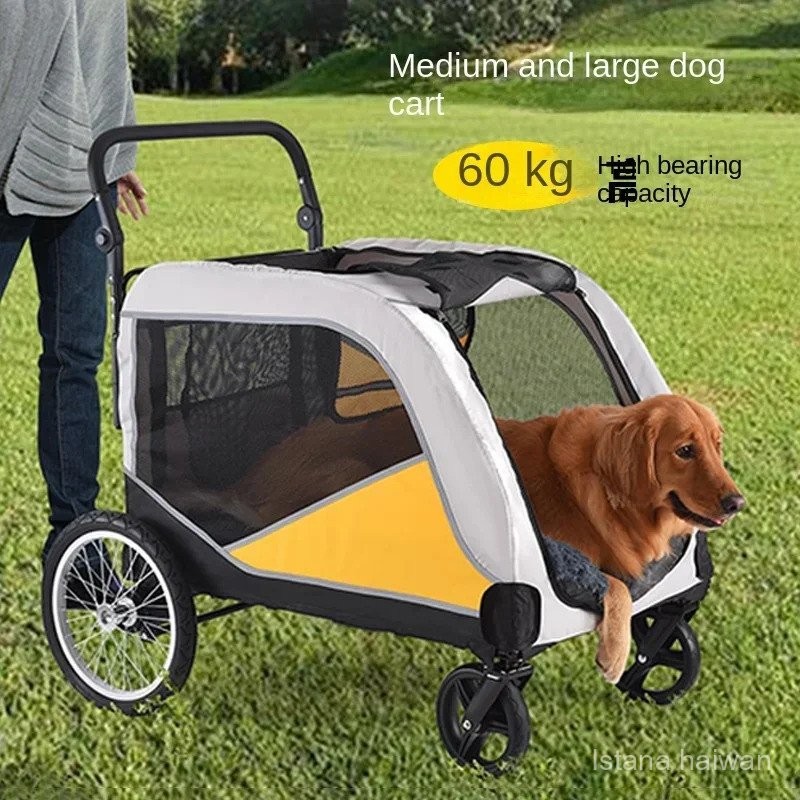 Multiple Kittens Dogs Large Pet Carts Giant Dogs Go Out To Push Carts ...