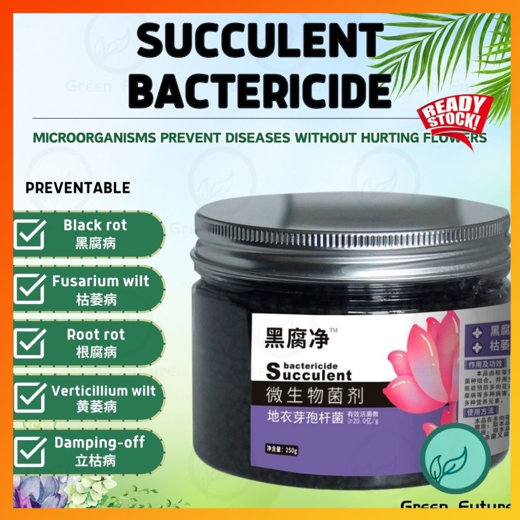 黑腐净 Fungicide SucculentBactericide Succulent Plant Black Rot Prevention ...