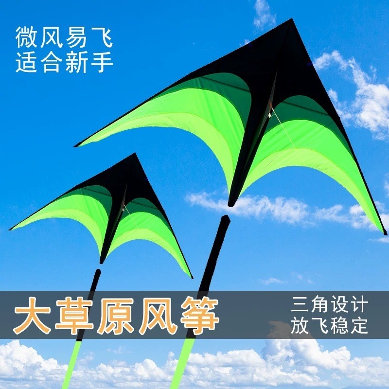 Square Green Big Prairie Kite Long Tail Adult Children Cartoon Kite ...