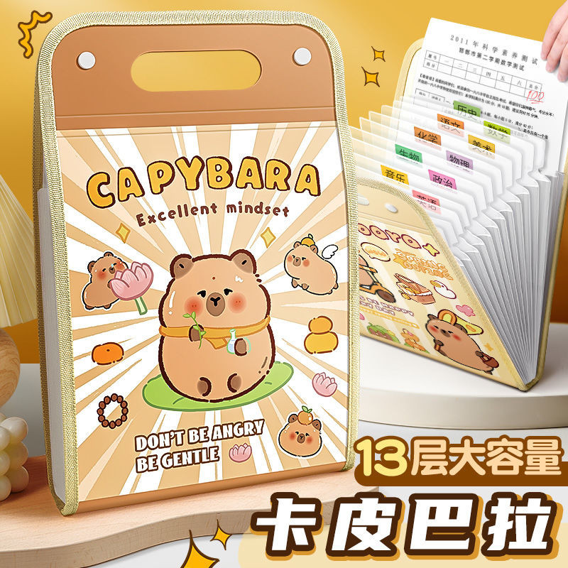 Capybara Folder A4 Portable Organ Bag Multi-Layer Large-Capacity Test ...