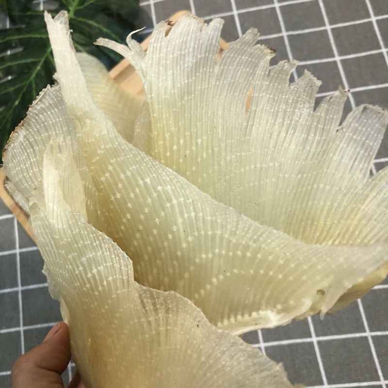 shark's fin (现货 spots）浦鱼翅海狗翅天狗翅全翅鱼鳍软骨翅佛跳墙渔翅鱼刺翅煲汤火锅烧烤Pu Shark Fin, Sea ...