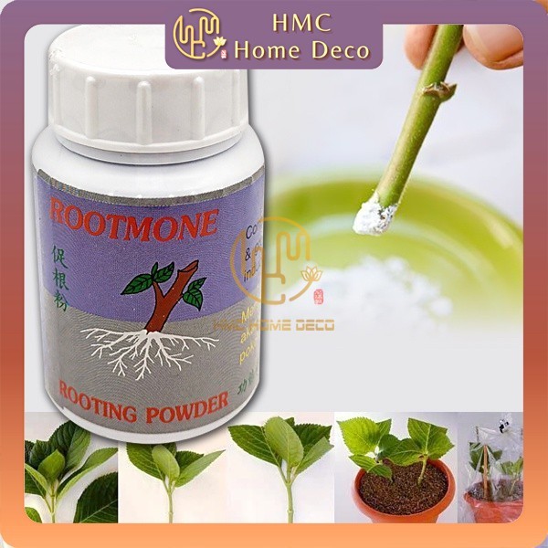 FERTILAND ROOTING POWDER ROOTMONE PLANTS PENGGALAK AKAR POKOK BUNGA 50g ...
