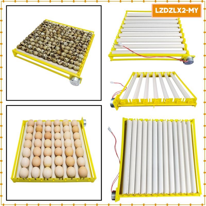 [Loviver] Egg Turning Tray, Turner Tray with Automatic Turning Motor ...