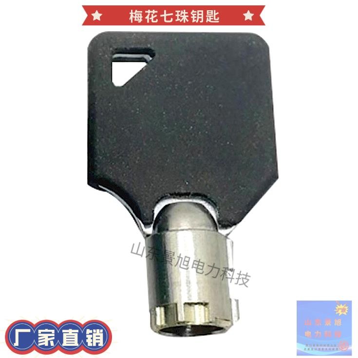 National Power Grid Electricity Meter Box Lock Key Open Universal Plum ...