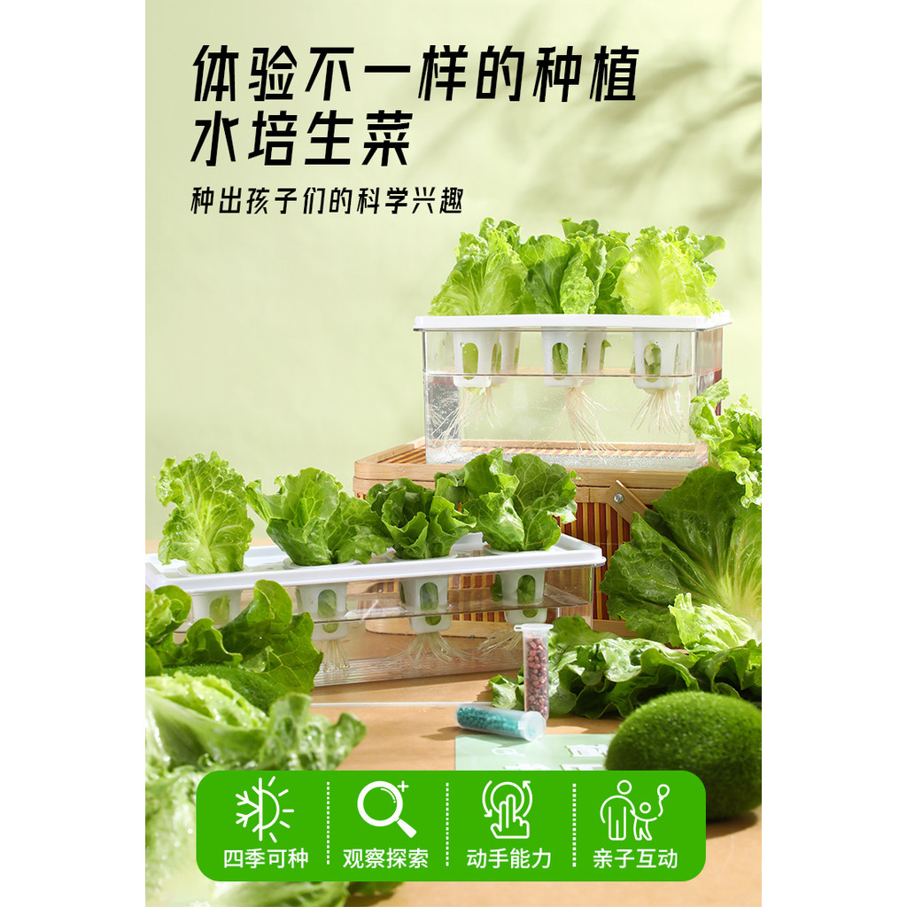 [Special Offer+immediate Shipping] Hydroponic Lettuce Planting Box ...