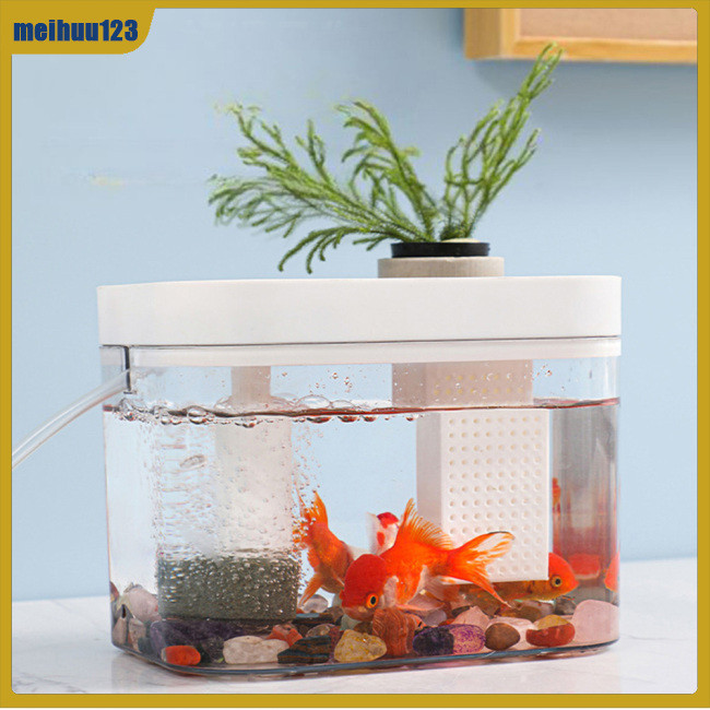 FNC Fish Tank With Lid, Small Transparent Fish Tank With USB Air Pump ...