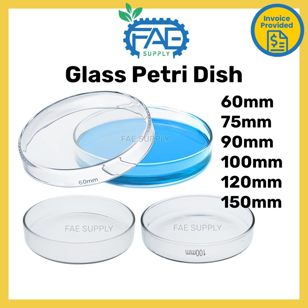 Petri dish petri plate borosilicate glass kaca 60mm 75mm 90mm 100mm ...