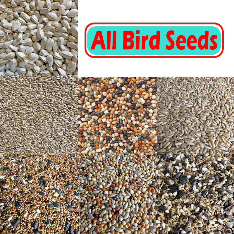 Premium All Bird Seed CANARY MIX Bird Millet Bird Pellet Bird Seed MIX ...