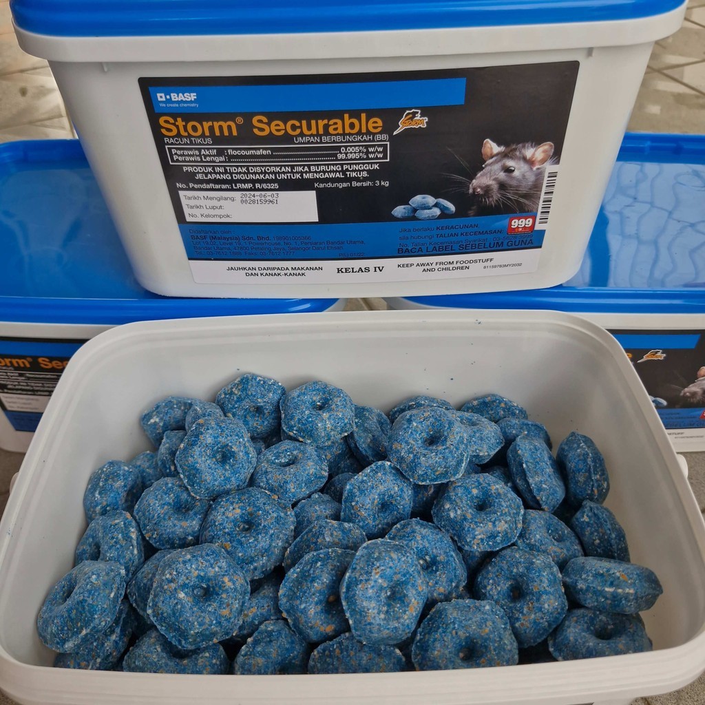 Racun Tikus BASF Securable Storm 1Pc 20g berkesan membasmi populasi ...