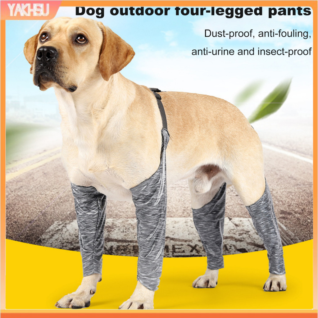 yakhsu| Dog Leg Protection Dog Leg Wound Guard Waterproof Dog Leg Sleeves for Surgery Recovery ...