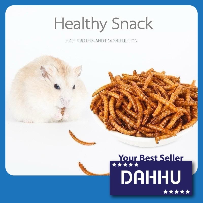 Dried Mealworms For Small Pets Hamster Reptiles Ulat Kering Roti Kering ...