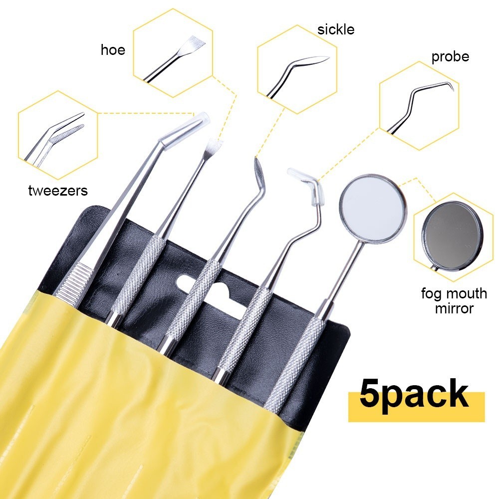5pcs Dental Instrument Kit Stainless Steel Complete Dentist Mirror ...