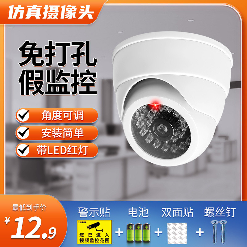 Simulation Camera Fake Monitor Fake Monitor Simulation Camera Car Fake ...