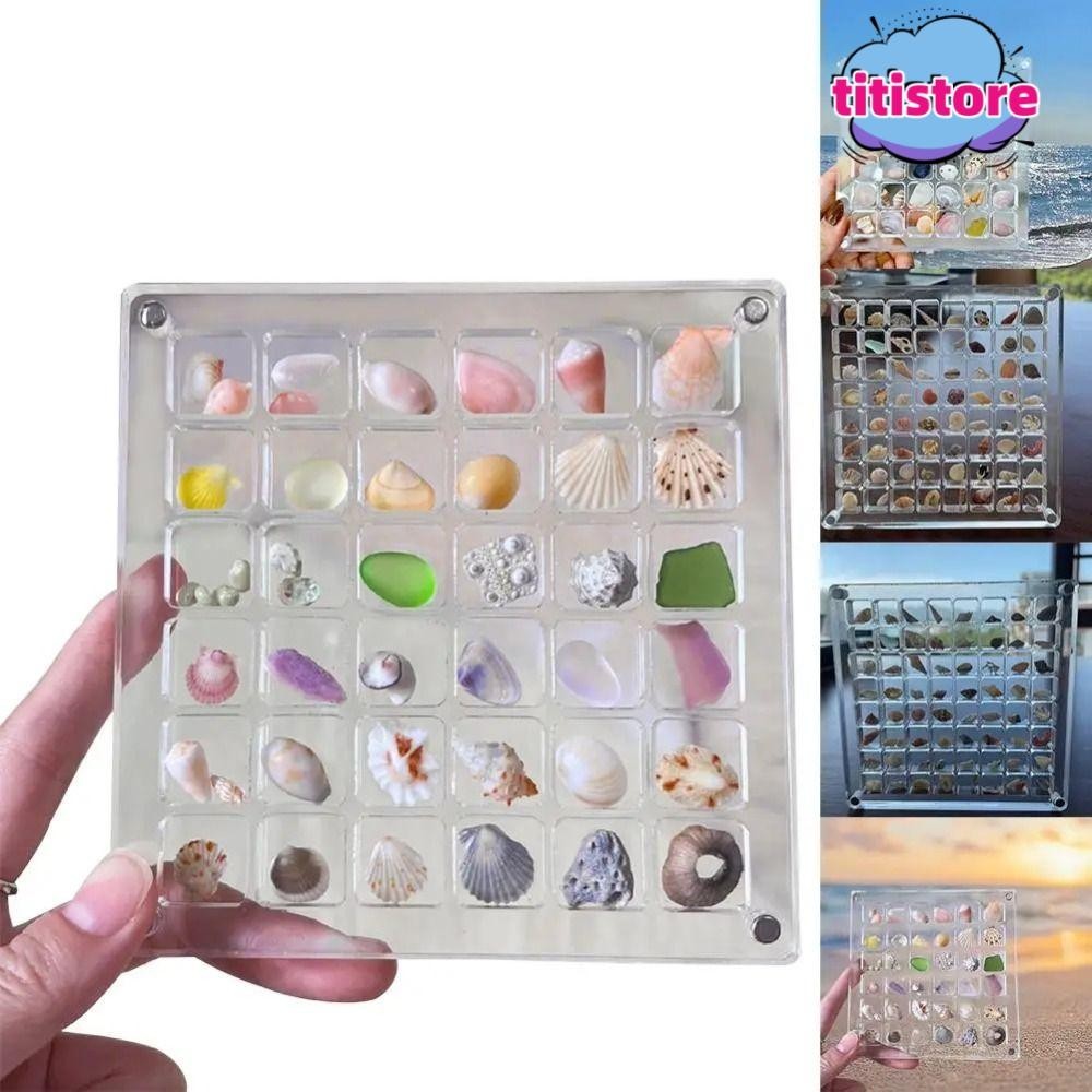 TITISTORE Magnetic Seashell Display Box, Transparent Plastic Seashell ...