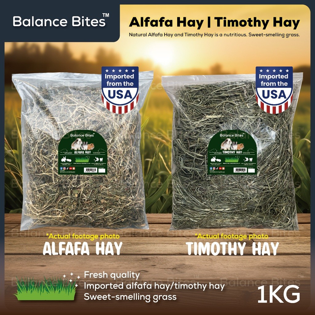 Balance Bites Premium Alfafa Hay & Timothy Hay & Orchard Hay USA 1KG ...