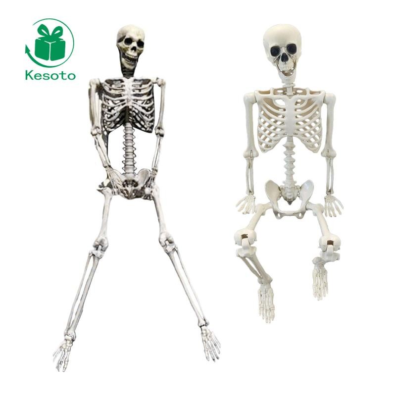 Kesoto Halloween Skeleton Movable Joints Skeleton Model Scary Horror ...