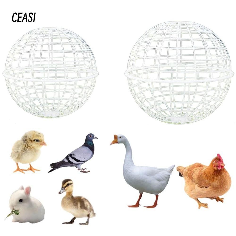 CEASI Chicken Balls Cage for Outside, Movable Ventilated Chicken ...