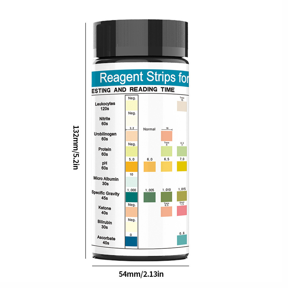 {Warm} 100 Strips Urine Test Strip 10 Parameters Protein Urinalysis PH ...