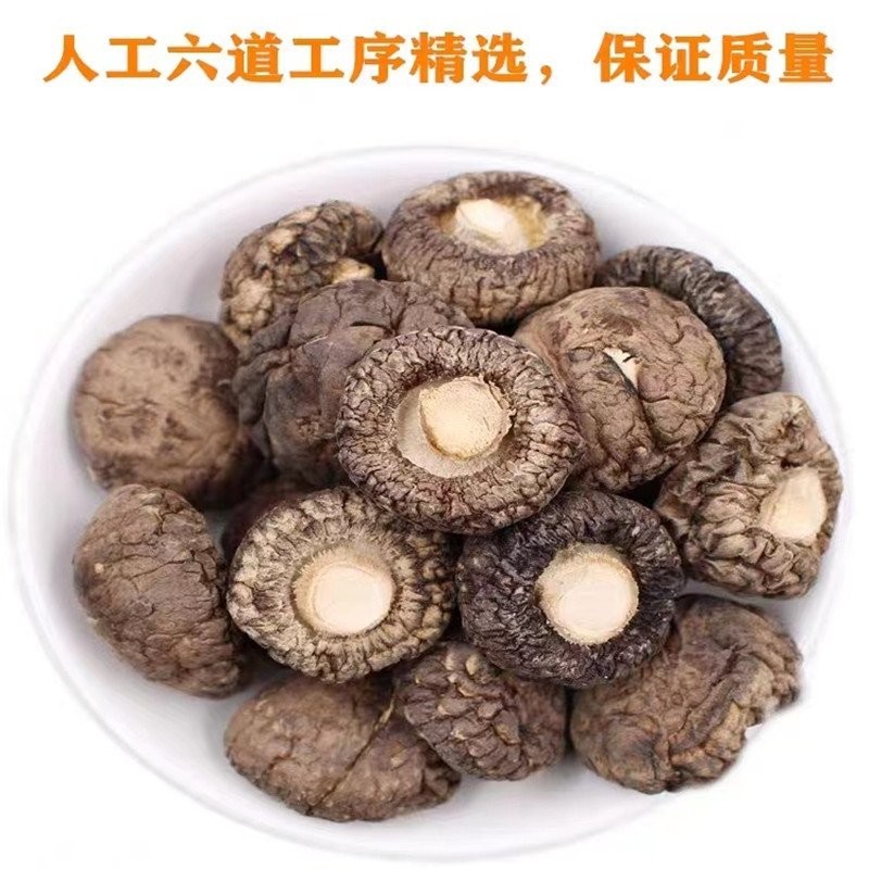 Timur laut khas Basswood cendawan kecil barang kering Changbai Mountain ...