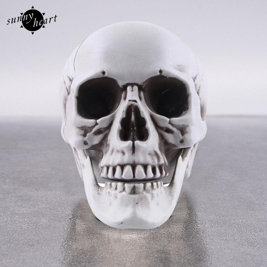 [SH] Realistic Skull Prop Rotted Zombie Skull Props Realistic Human ...