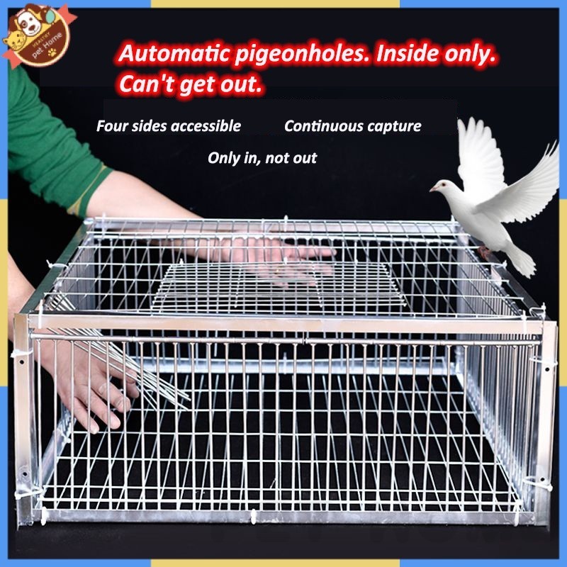 Pigeon Cage Skyset Cage Pigeon Cage Pigeon Catching Believe Pigeon ...