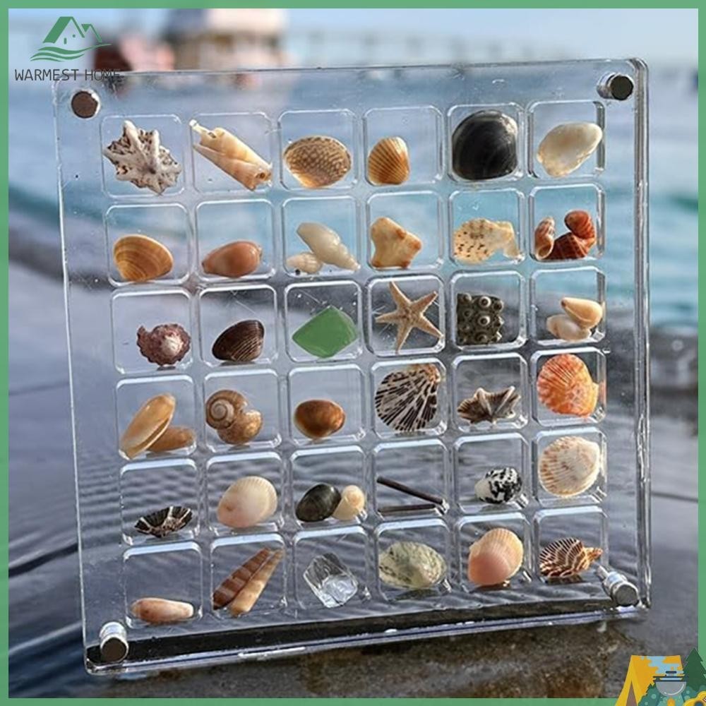 {Warm} 36/64/100 Grids Acrylic Seashell Display Box Clear Magnetic ...