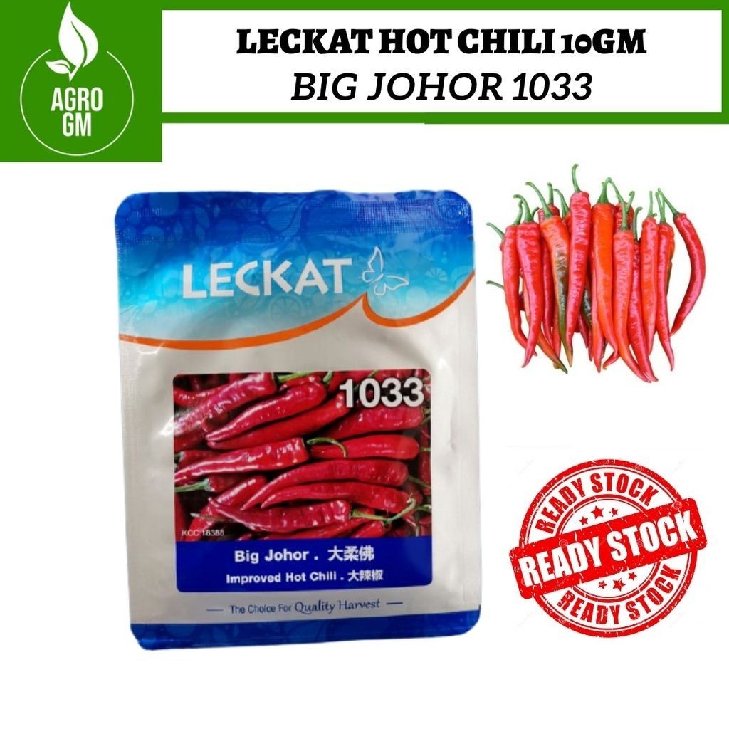 【2000++ biji】Benih Leckat Lada Besar Hot Chili Cili Big Johor 1033 10gm ...